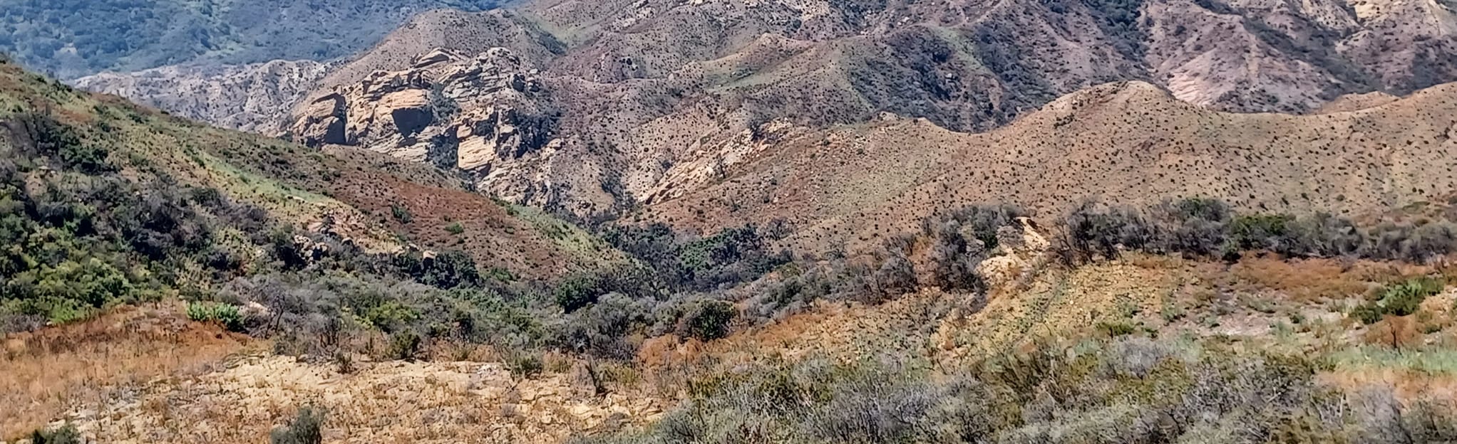 Lemming Trail: Temescal Canyon Road to the Beach - California | AllTrails