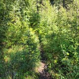 Numa Lookout, Montana - 269 Reviews, Map | AllTrails