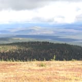 Summit Trail to Wickersham Dome, Alaska - 179 Reviews, Map | AllTrails