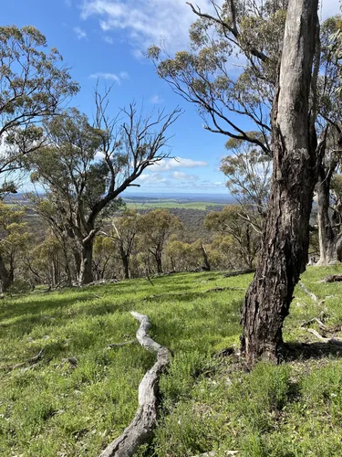 Best Walking Trails in Heathcote-Graytown National Park | AllTrails
