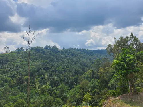 2023 Best 10 Trails and Hikes in Serendah | AllTrails