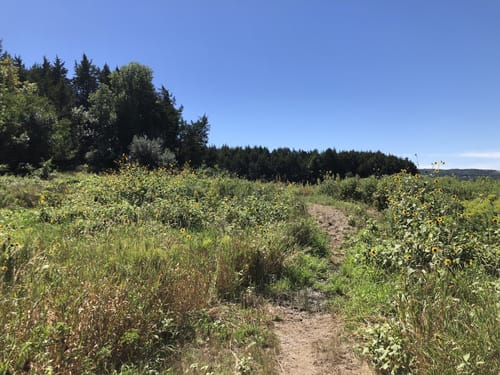 Best Hikes and Trails in Pease Creek Recreation Area | AllTrails