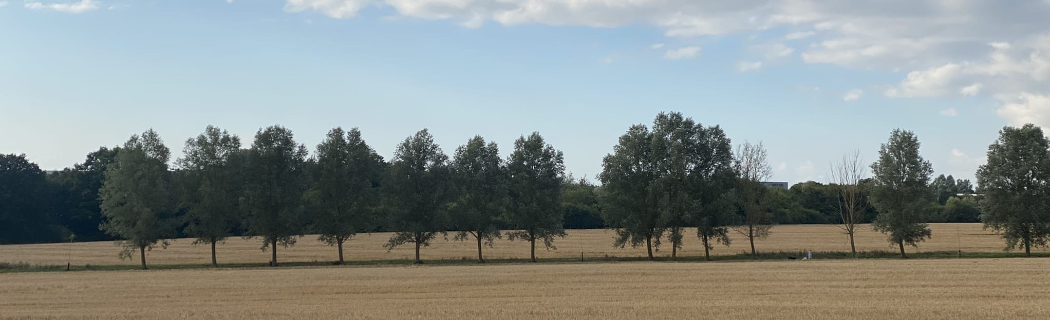 Flitch Way Country Park to Braintree, Essex, England - 20 Reviews, Map ...