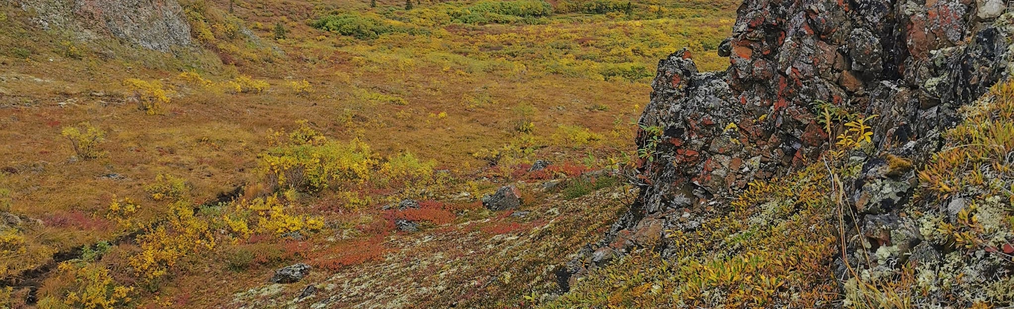 Rake Mountain, Yukon, Canada - 11 Reviews, Map | AllTrails