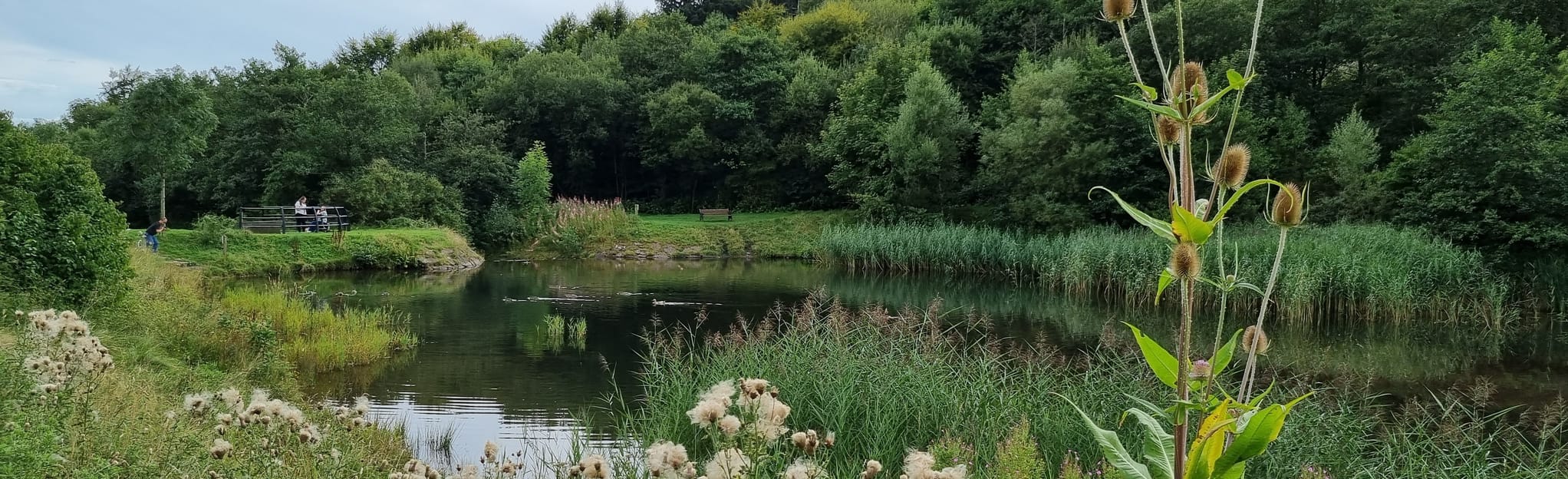 Garw Valley: 61 foto - Bridgend, Galles | AllTrails