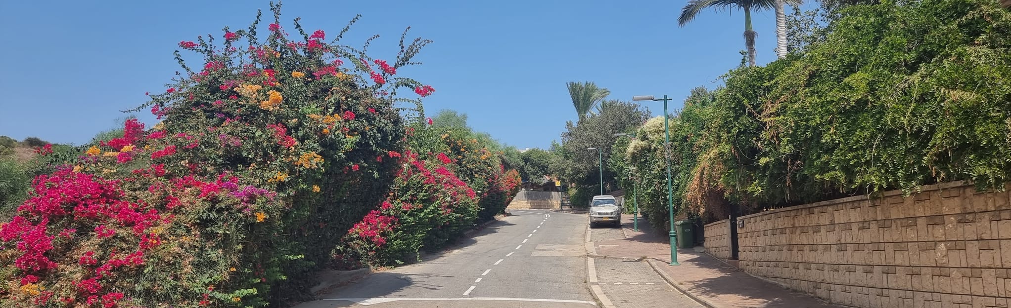 Kfar Shmeriyahu, Raanana, Bnei Zion and Yakum, Tel Aviv, Israel - 2 ...