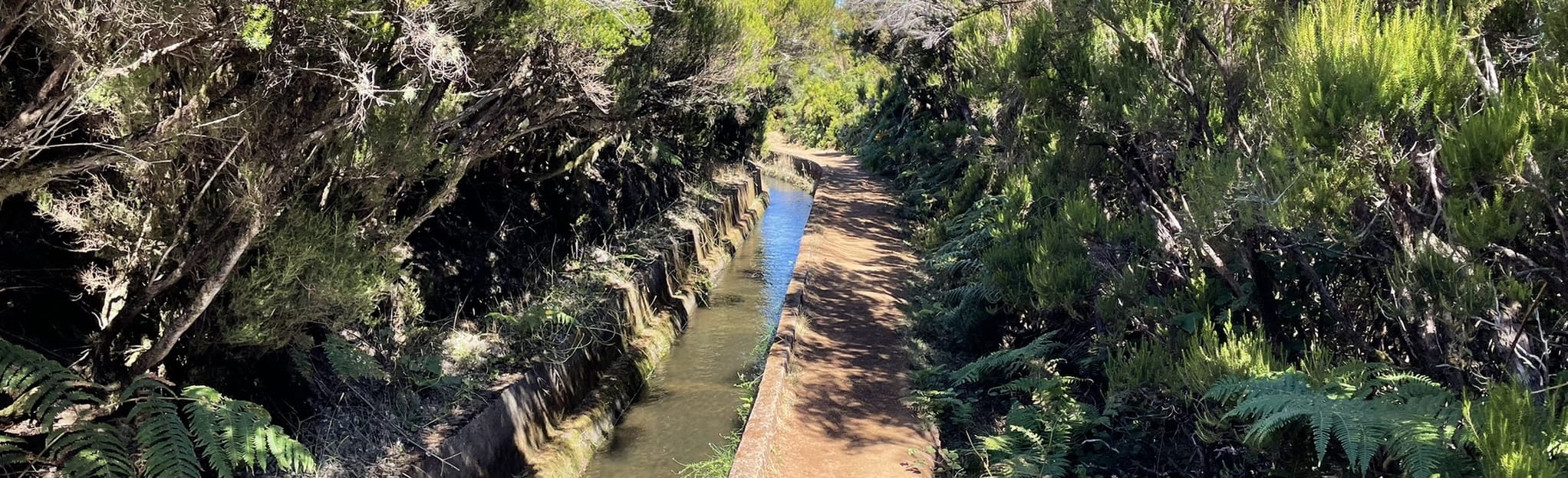 Levada do Alecrim: 402 Reviews, Map - Madeira, Portugal | AllTrails