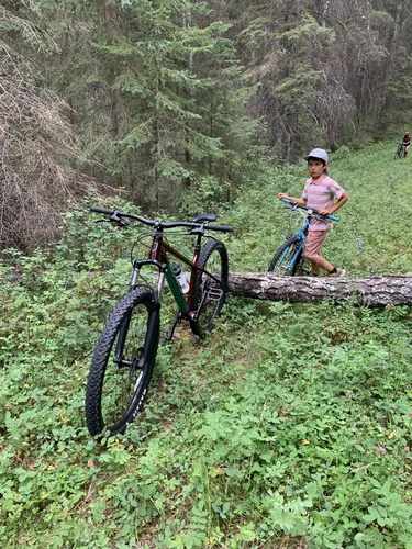 Best Hikes and Trails in Spruce View | AllTrails