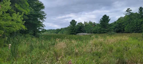 10 Best Trails and Hikes in Gravenhurst | AllTrails