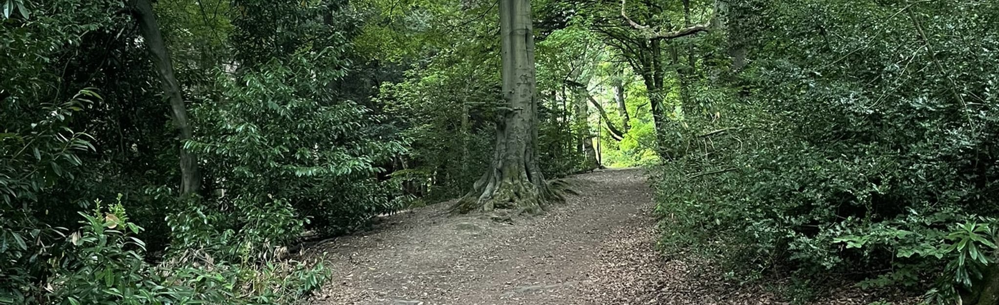 Coppice Pond Circular: 25 Reviews, Map - West Yorkshire, England ...