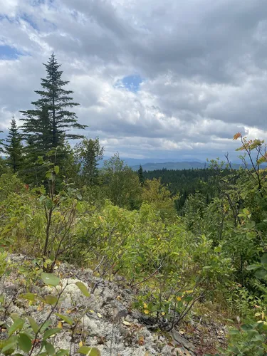 Best Backpacking Trails in Cap-Chat | AllTrails