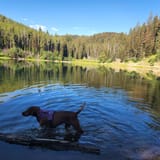 Packsaddle Lake, Idaho - 231 Reviews, Map | AllTrails
