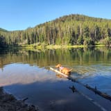 Packsaddle Lake, Idaho - 231 Reviews, Map | AllTrails