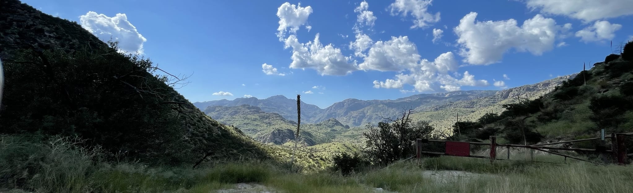 Arizona Trail: Passage 11 - Santa Catalina Mountains: 19 Reviews, Map ...