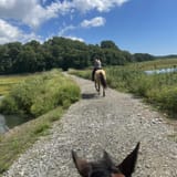 Barn Island Wildlife Management Area Trail, Connecticut - 592 Reviews ...