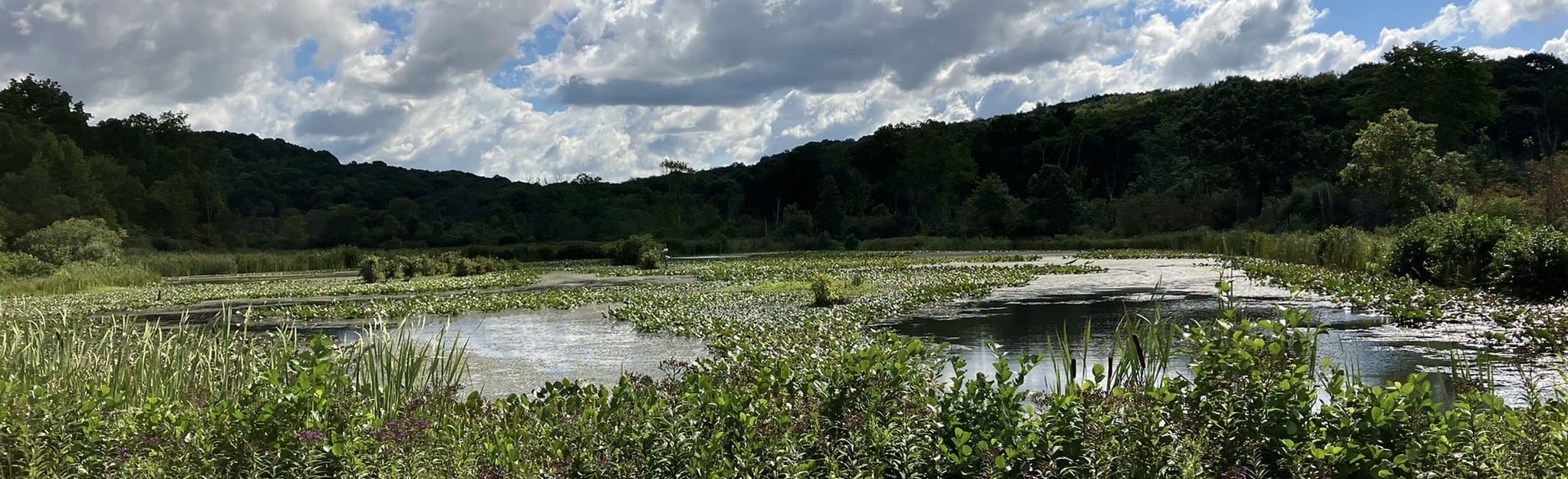 North Country Trail: Moniteau to Vulture Bear Rock, Pennsylvania - 21 ...
