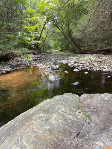 Best Hikes and Trails in Roaring Brook Preserve | AllTrails