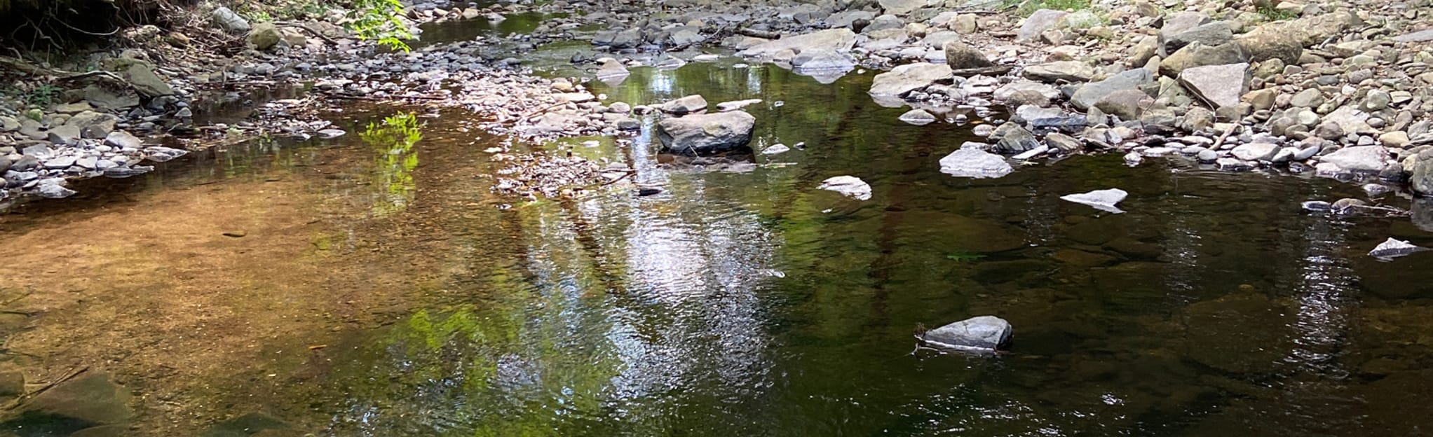 Roaring Brook Preserve Loop, Connecticut - 23 Reviews, Map | AllTrails