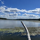 Kingston Point Rail Trail, New York - 204 Reviews, Map | AllTrails