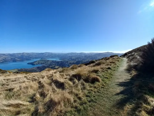 10 Best Trails and Hikes in Akaroa | AllTrails