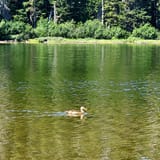 Boulder Lake Trail, Oregon - 46 Reviews, Map | AllTrails