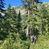 Eagle Lake, Washington - 45 Reviews, Map | AllTrails