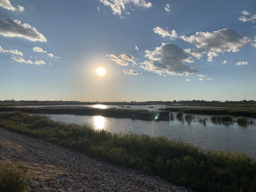 Best Hikes and Trails in Howard Marsh Metropark | AllTrails