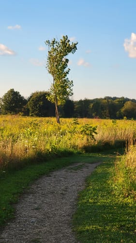 Best Hikes and Trails in Springfield Bog Metro Park | AllTrails
