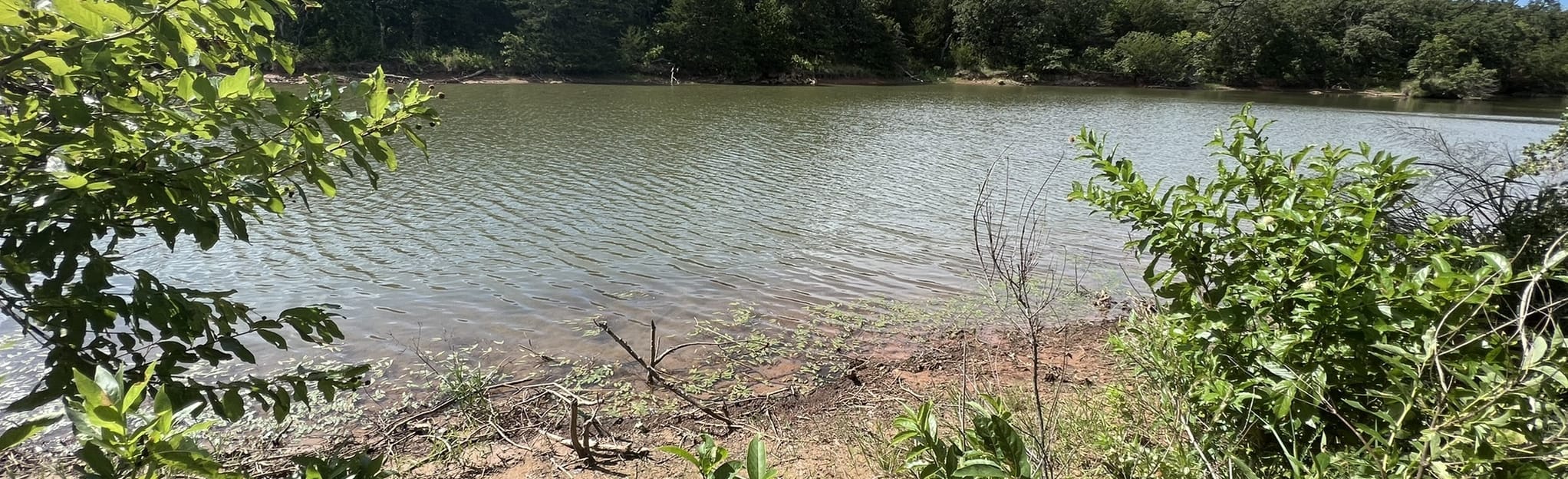 Lake McMurtry East Side Trails (Yellow) - Oklahoma | AllTrails