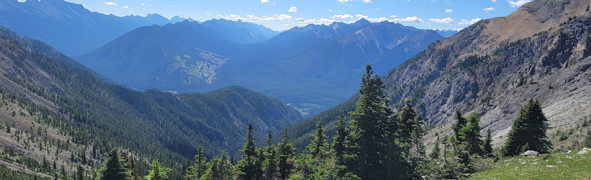 Mount Edith: 246 Reviews, Map - Alberta, Canada | AllTrails