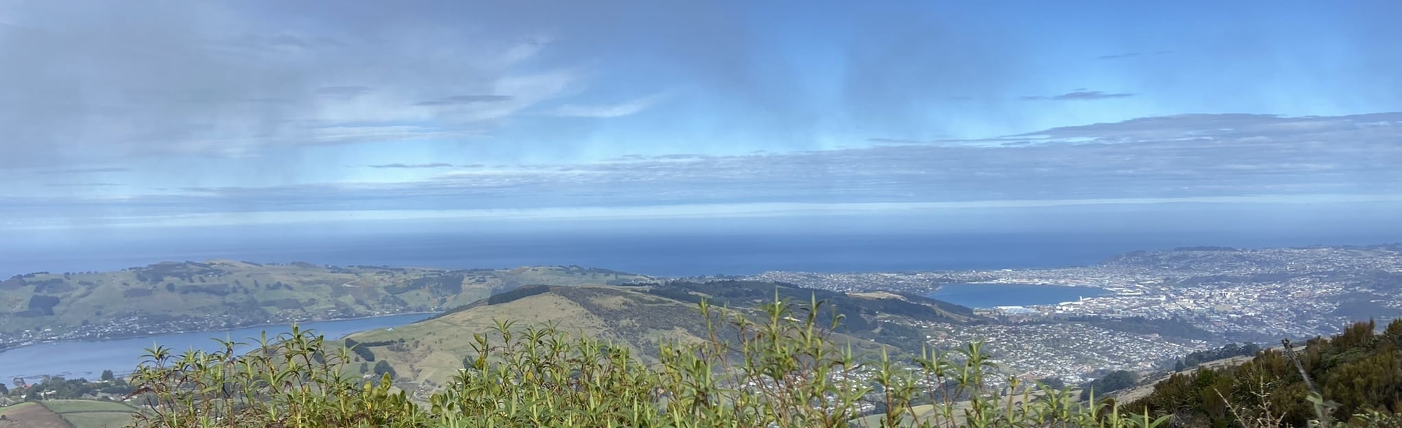 Sawyers Bay to Mount Cargill via Grahams Bush Track - Otago, New ...