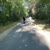 Windham Rail Trail, New Hampshire - 852 Reviews, Map | AllTrails