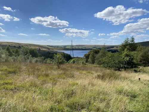 10 Best Trails, Walks, and Paths in Burnley | AllTrails