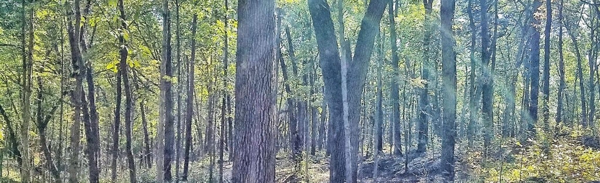 Clinton Lake Visitor Center Nature Trails: 19 Reviews, Map - Kansas ...