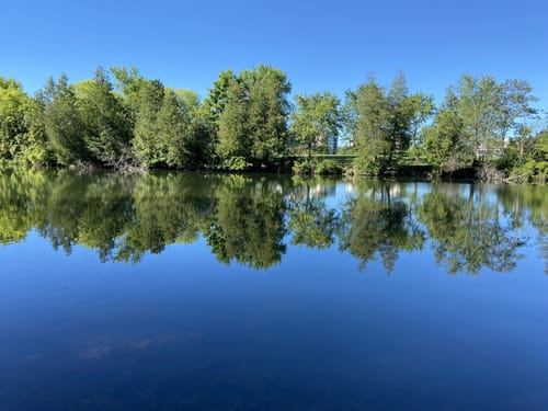 2023 Best 10 Trails and Hikes in Guelph | AllTrails