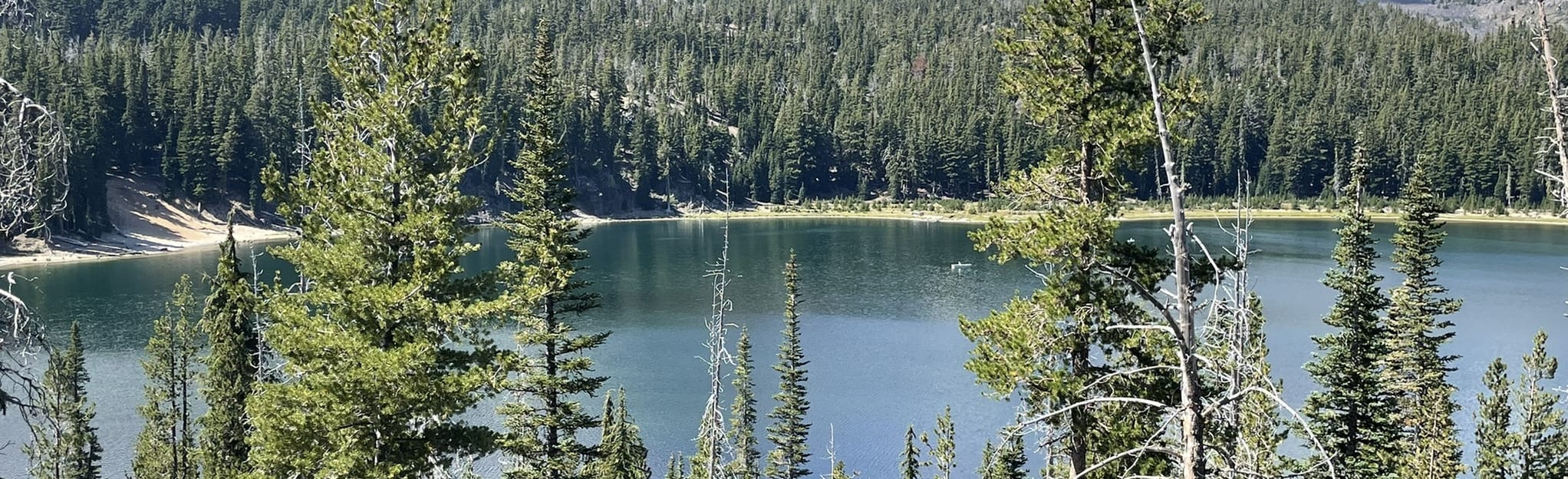 Tam McArthur Rim to Broken Top Loop, Oregon - 16 Reviews, Map | AllTrails