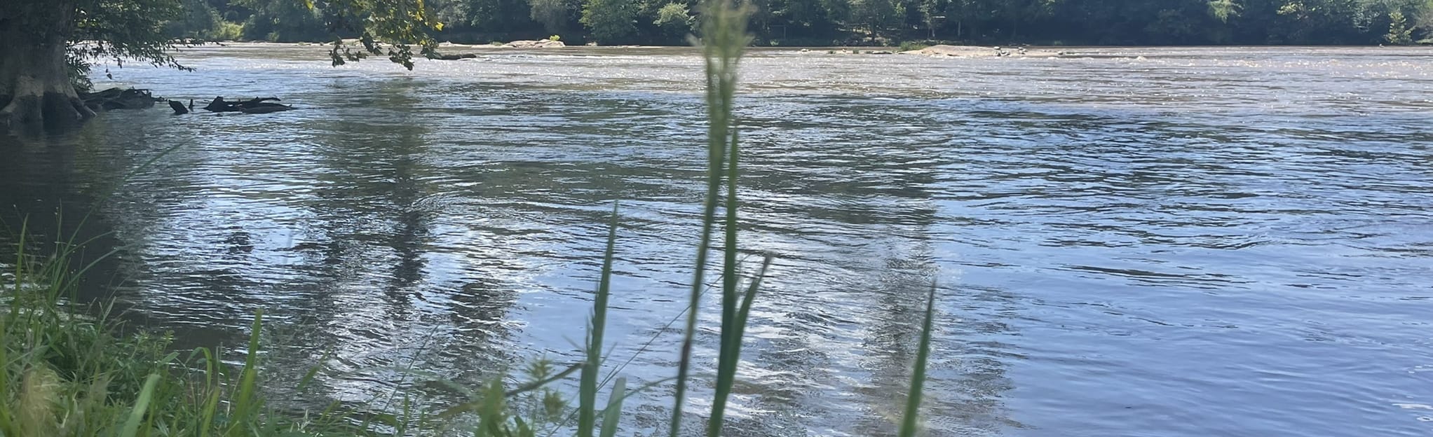 McIntosh Reserve Loop: 47 Reviews, Map - Georgia | AllTrails