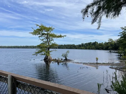 Best Hikes and Trails in Jones Lake State Park | AllTrails