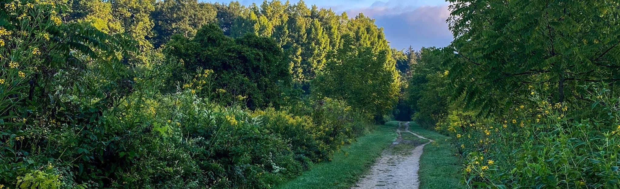 Chagrin Bridle Trail, Ohio - 321 Reviews, Map | AllTrails