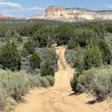 Cutler Point, Utah - 217 Reviews, Map | AllTrails