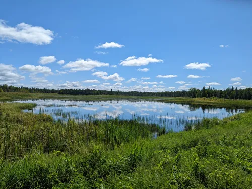 Best Hikes and Trails in Marlborough Forest | AllTrails