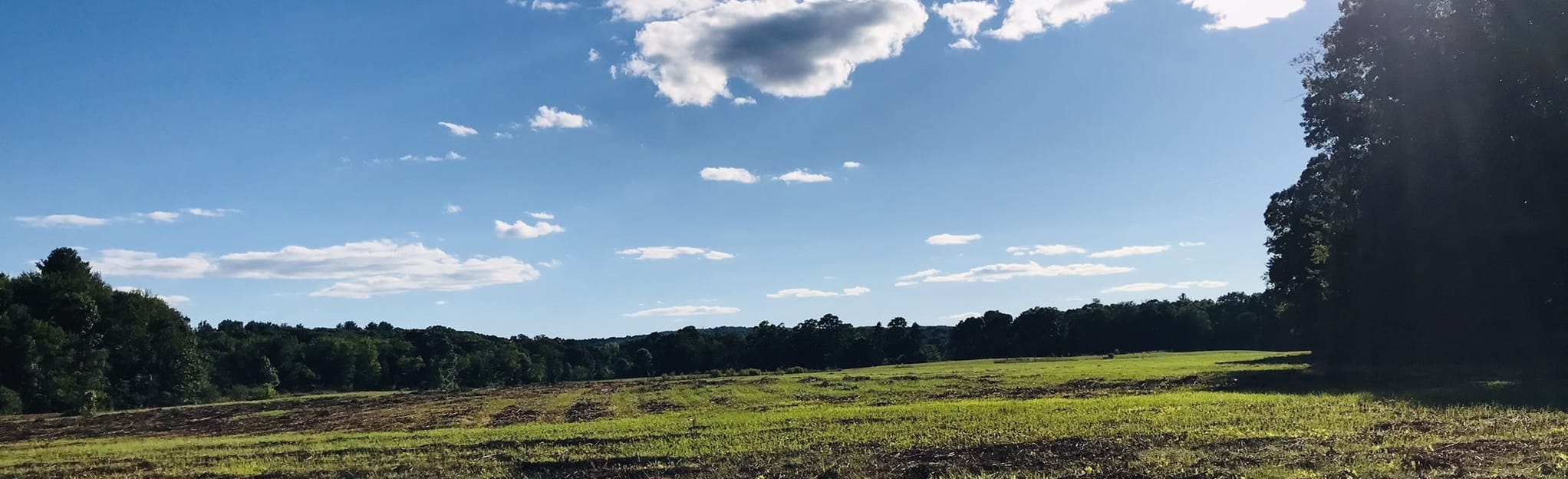 South Cedar Swamp: 6 Reviews, Map - Massachusetts | AllTrails