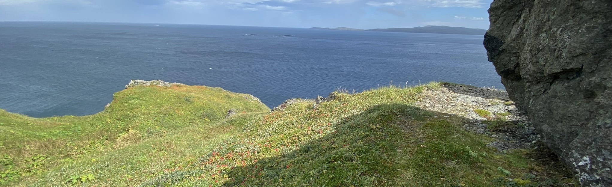 Lacey's Trail, Newfoundland and Labrador, Canada - 5 Reviews, Map ...