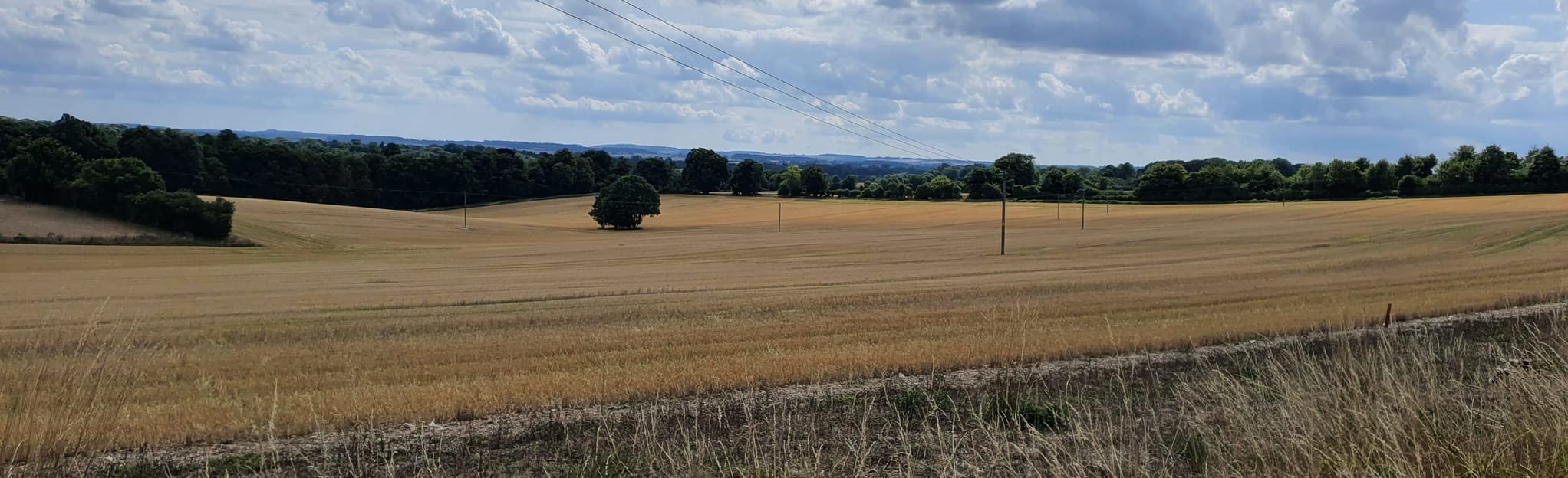 Abbotstone to Upper Wield Circular - Hampshire, England | AllTrails