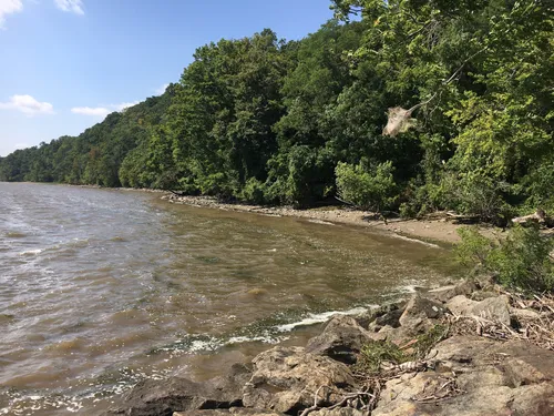 Best Hikes and Trails in Turkey Point State Forest | AllTrails