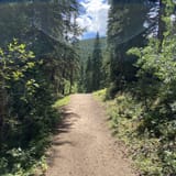 Tanglewood Trail, Colorado - 438 Reviews, Map | AllTrails