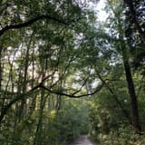 Cape Henry Trail, Virginia - 554 Reviews, Map | AllTrails