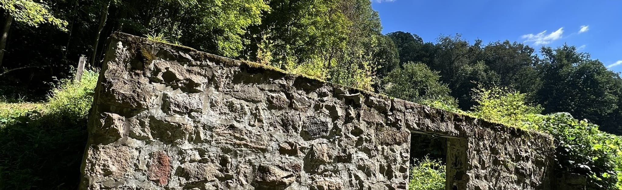 AllTrails | Lower Nuttallburg Mine via Town Loop Connector Trail: 105 ...