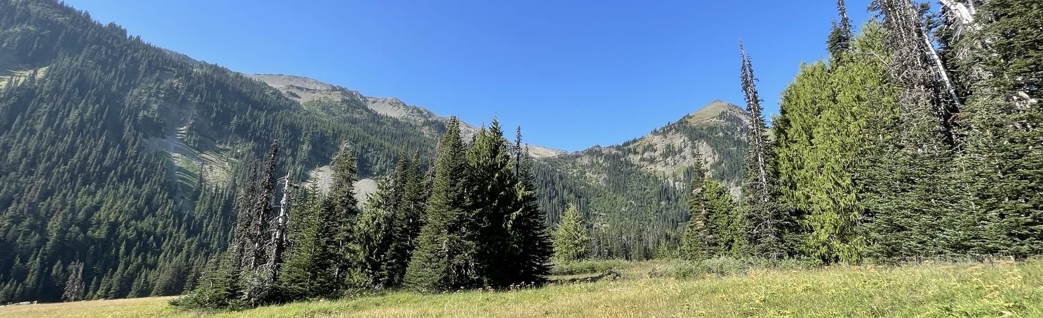Cameron Basin Loop via Elk Mountain and Grand Pass, Washington - 8 ...