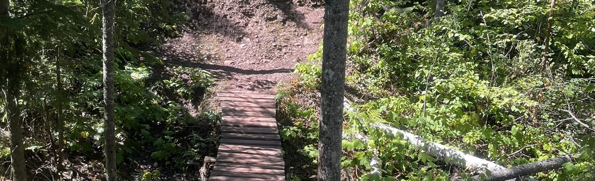 Copper Harbor Red Trail, Ma Maki, Garden Brook, and Harbor Trail ...